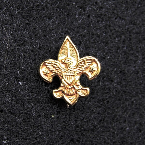 Boy Scout Pin - Etsy