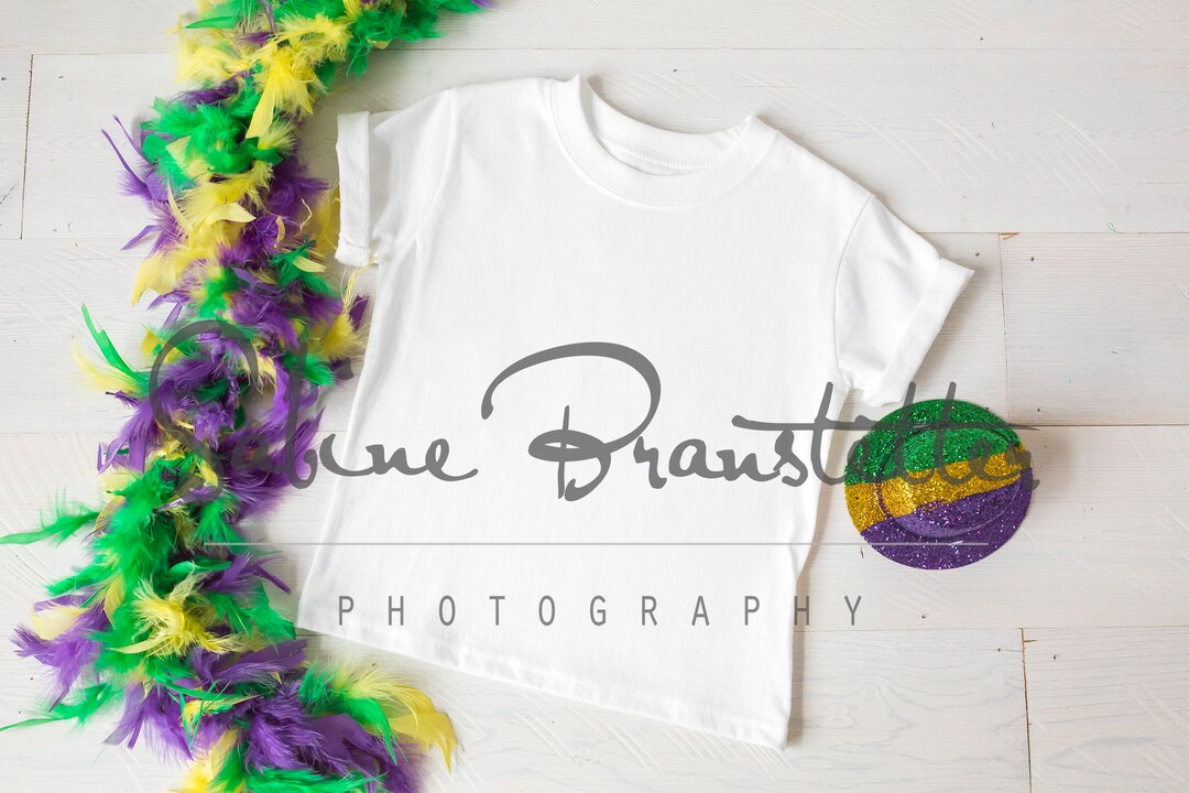 Styled Stock Photography Mardi Gras, Mockup-digital File, Flat Lay ...