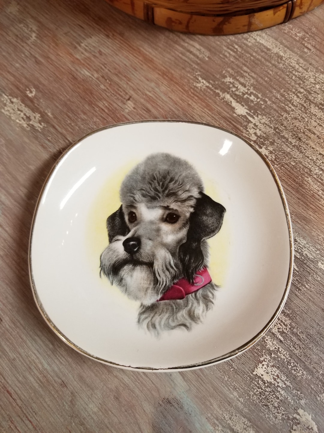 Royal Falcon Ware Hanley England Grey Haired Schnauzer/poodle Dish ...