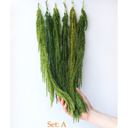 Hanging Garden / Moss Art - Etsy