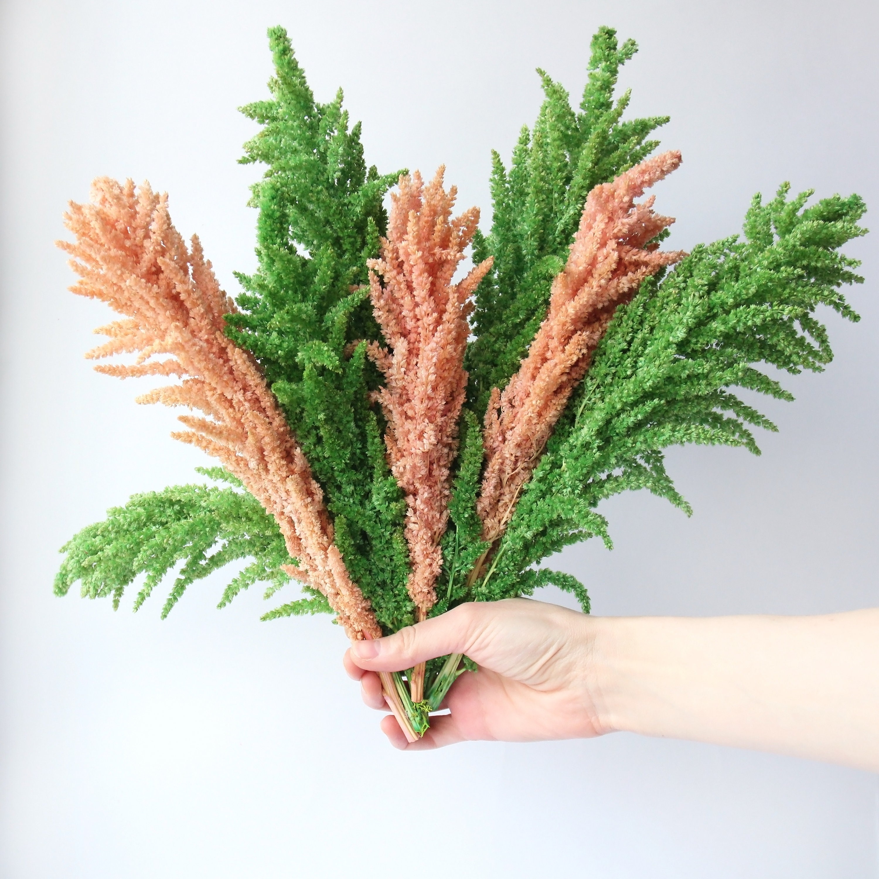 Bouquet of preserved amaranthus Colorful Set Wedding floral | Etsy