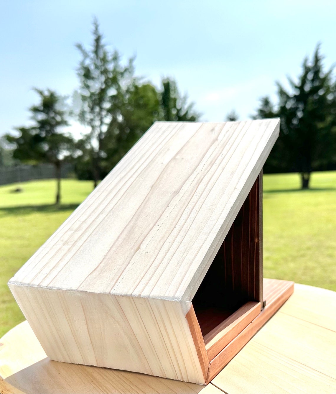 The Blue Jay Studio - Etsy