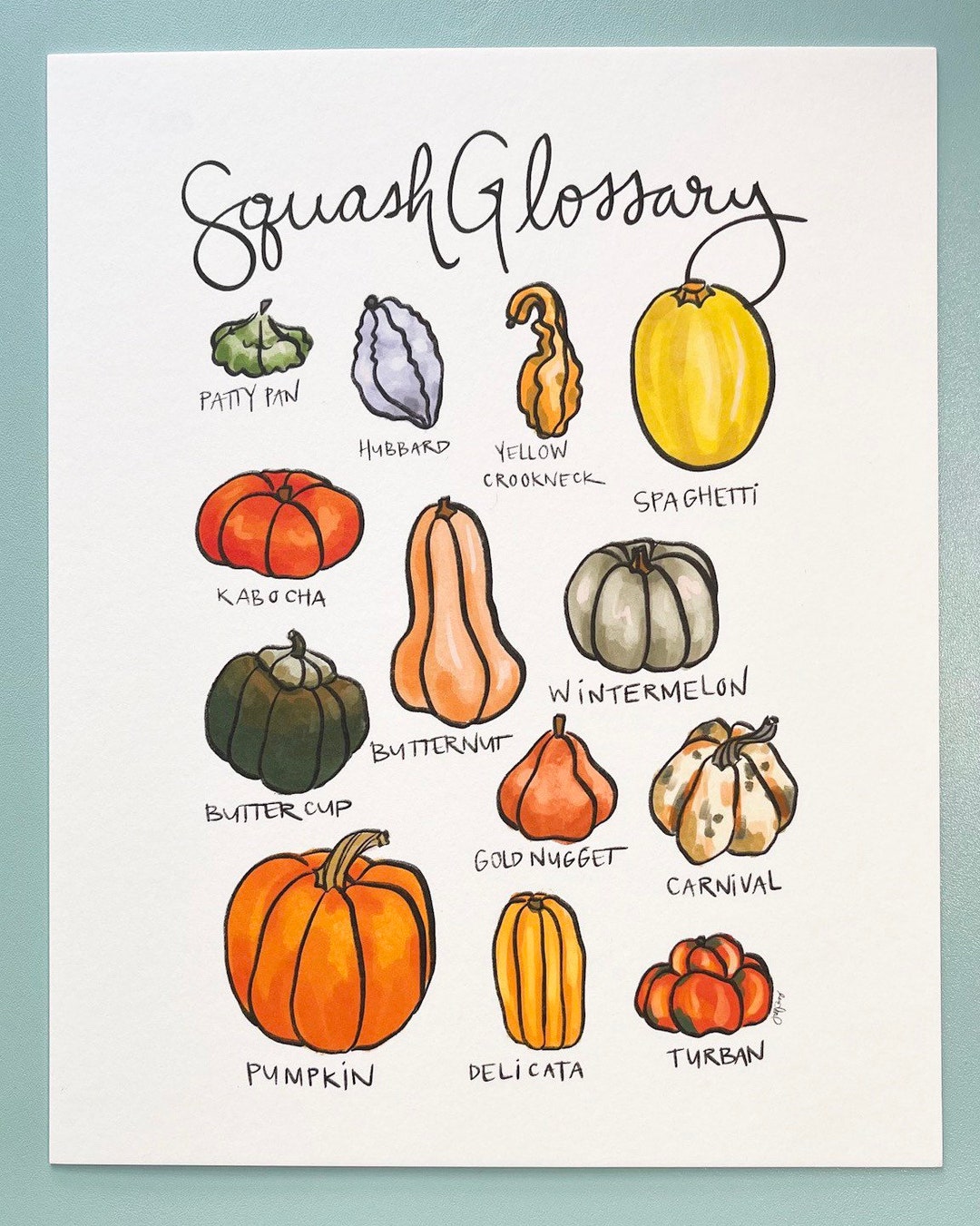 Squash Glossary Art Print Fall Decor - Etsy