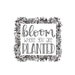 Bloom Where You're Planted / Cactus Print / Bloom Printable / Spring ...