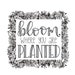 Bloom Where You're Planted / Cactus Print / Bloom Printable / Spring ...