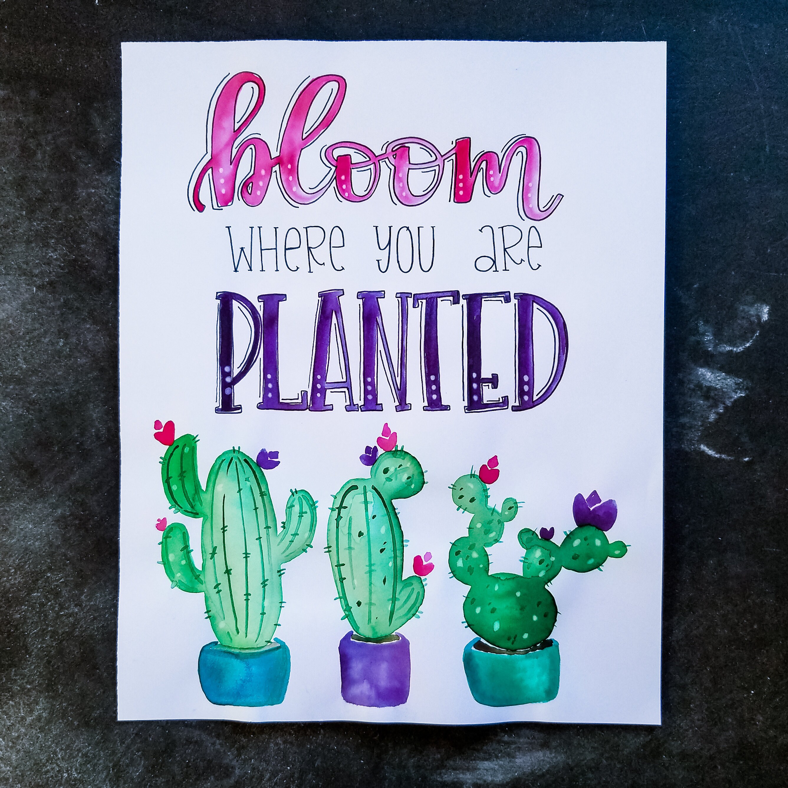 Bloom Where You're Planted / Cactus Print / Bloom | Etsy