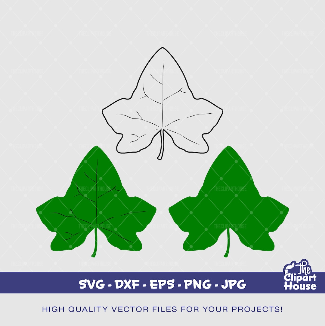 Ivy Leaf, Ivy Leaf, Leaf Svg, Nature Svg, Flowers, Plants Svg, Tree Svg ...