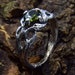 Mens Braided Wedding Ring With Tree Branch Band and Leaf Design, Unique ...