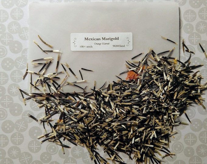 Orange 'hawaii' Mexican Marigold 100+ (african, Tall), Tagetes Erecta ...