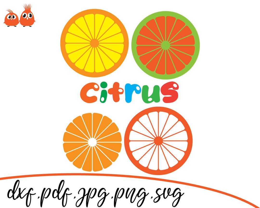 Seamless Patterns. Citrus SVG File, Citrus DXF, Citrus Cut File, Citrus ...