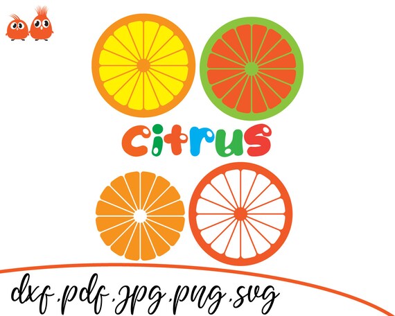 Seamless Patterns. Citrus SVG File Citrus DXF Citrus Cut | Etsy