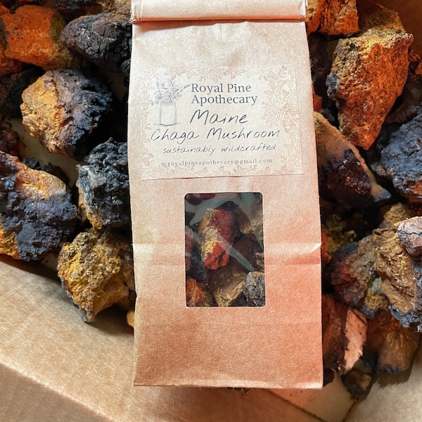 Chaga Mushroom - Etsy