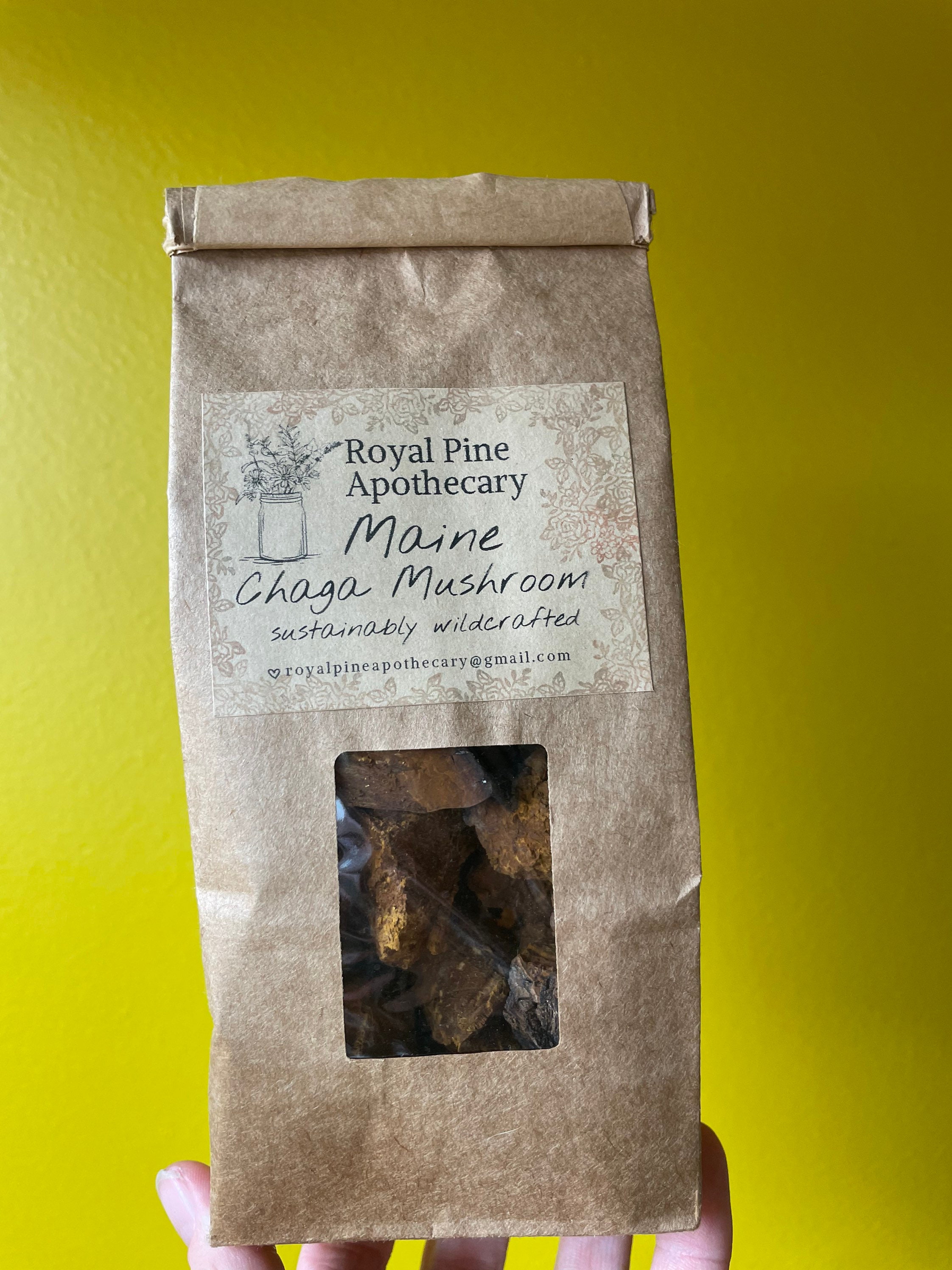 Maine Chaga Mushroom | Etsy