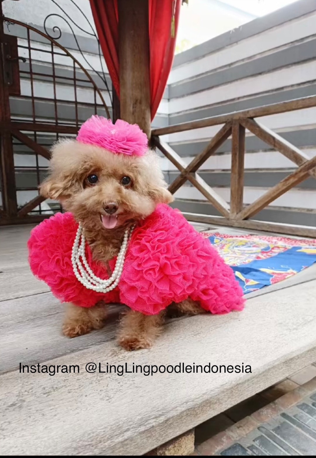 Sam Smith Pink Tulle Dress. Gloria Fluffy Dress. Quinceanera Dress for ...