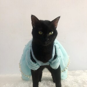 Princess Jasmine Dress | Cosplay Costume Custom Made for Dog Cat ...