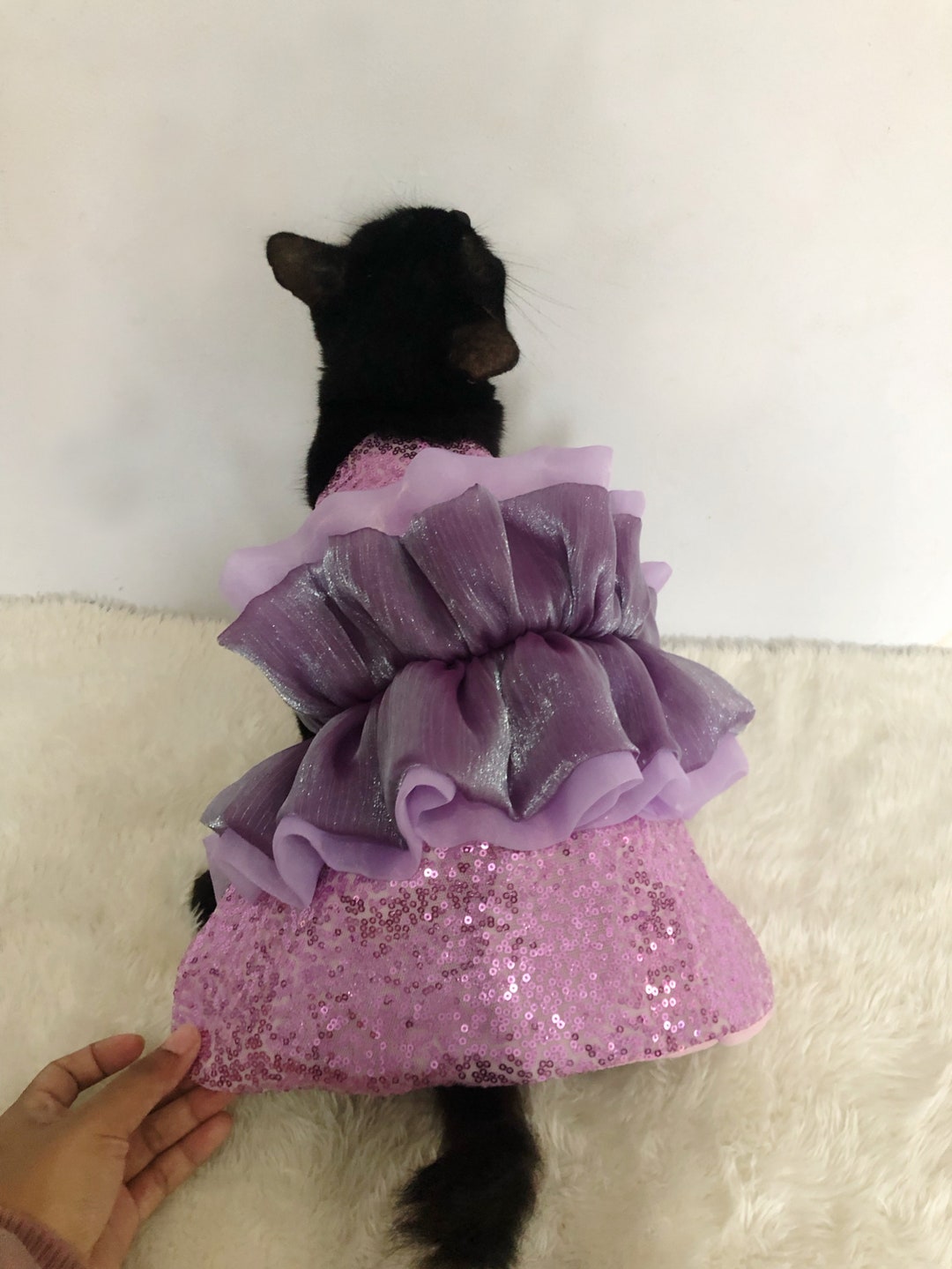 Iridescent Ruffle Pleated Tulle Sequin Organza Dress. Dog Cat ...