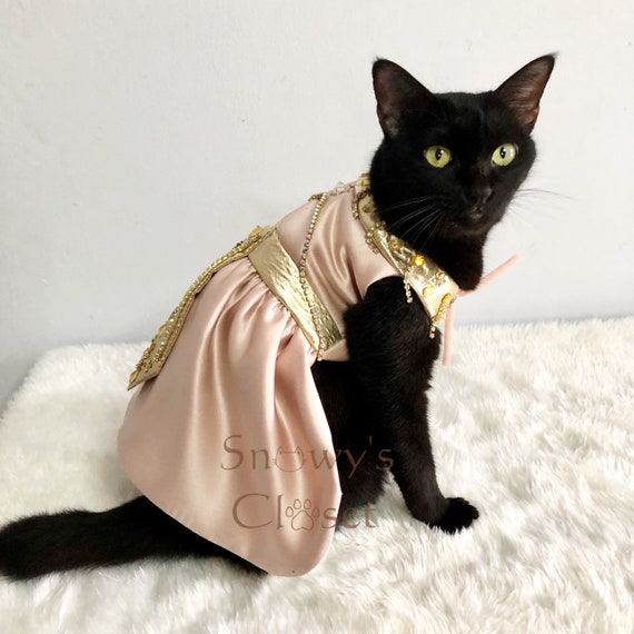 Cleopatra Dog Costume