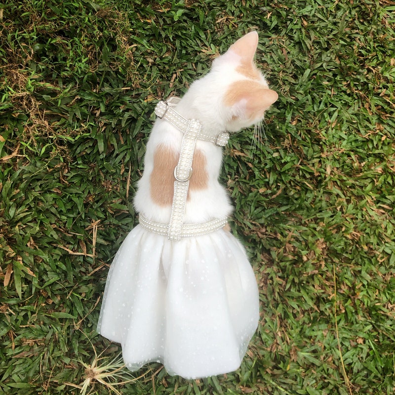 Pearl Harness - Etsy