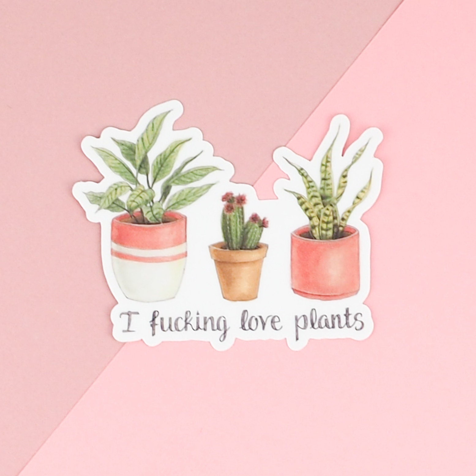 Plant Sticker Potted Plant Sticker Succulent Sticker I - Etsy