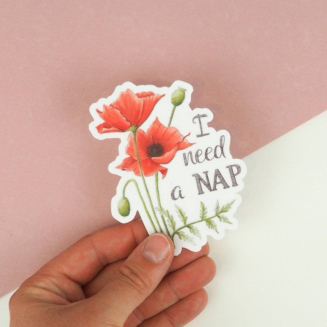 Funny Planner Sticker Funny Vinyl Sticker Water Bottle Sticker Funny ...