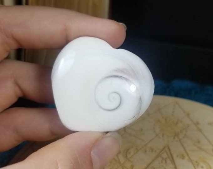 Shiva Eye Shell Heart Third Eye Chakra Carved Stone Divination ...