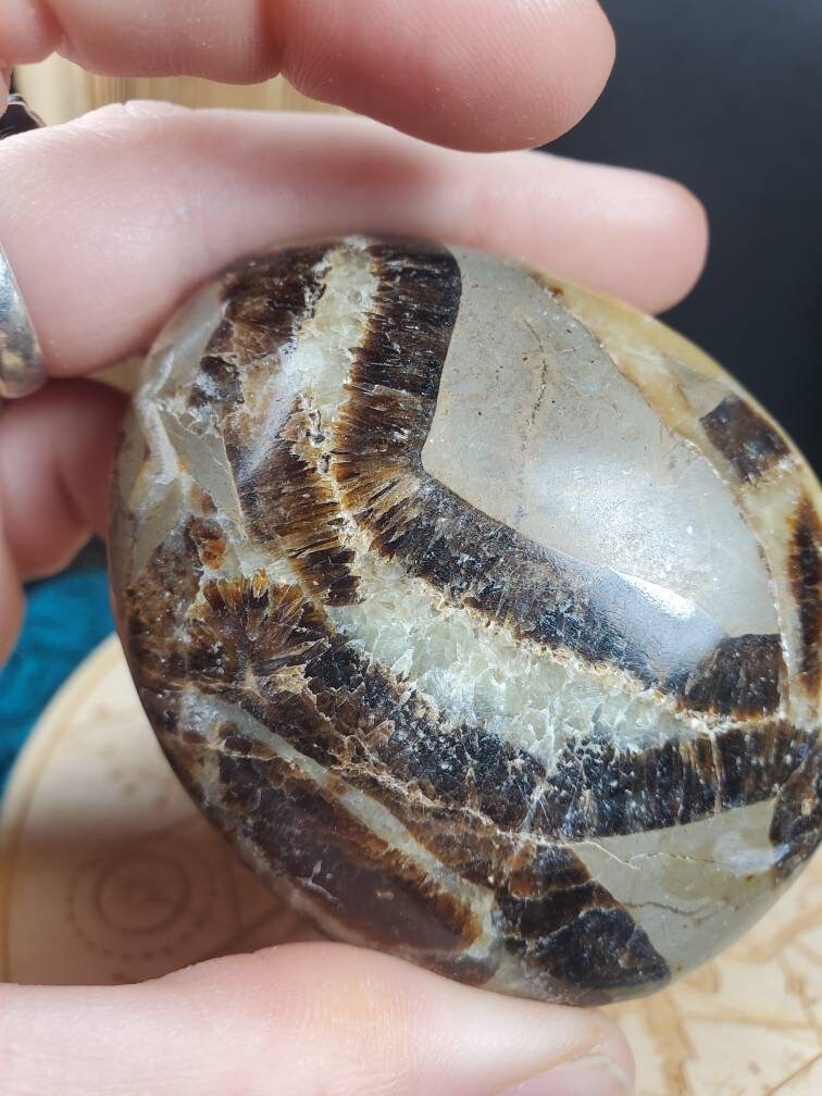 Septarian Dragon Stone Palm Druzy Pocket Stone Enlightenment | Etsy