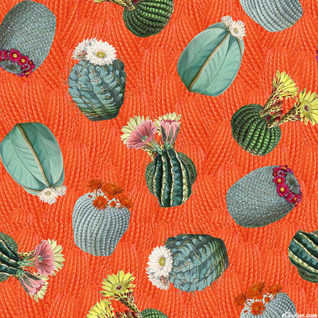 Blank Textiles Desert Bloom - Cactus Toss - Persimmon 100% Cotton - Etsy