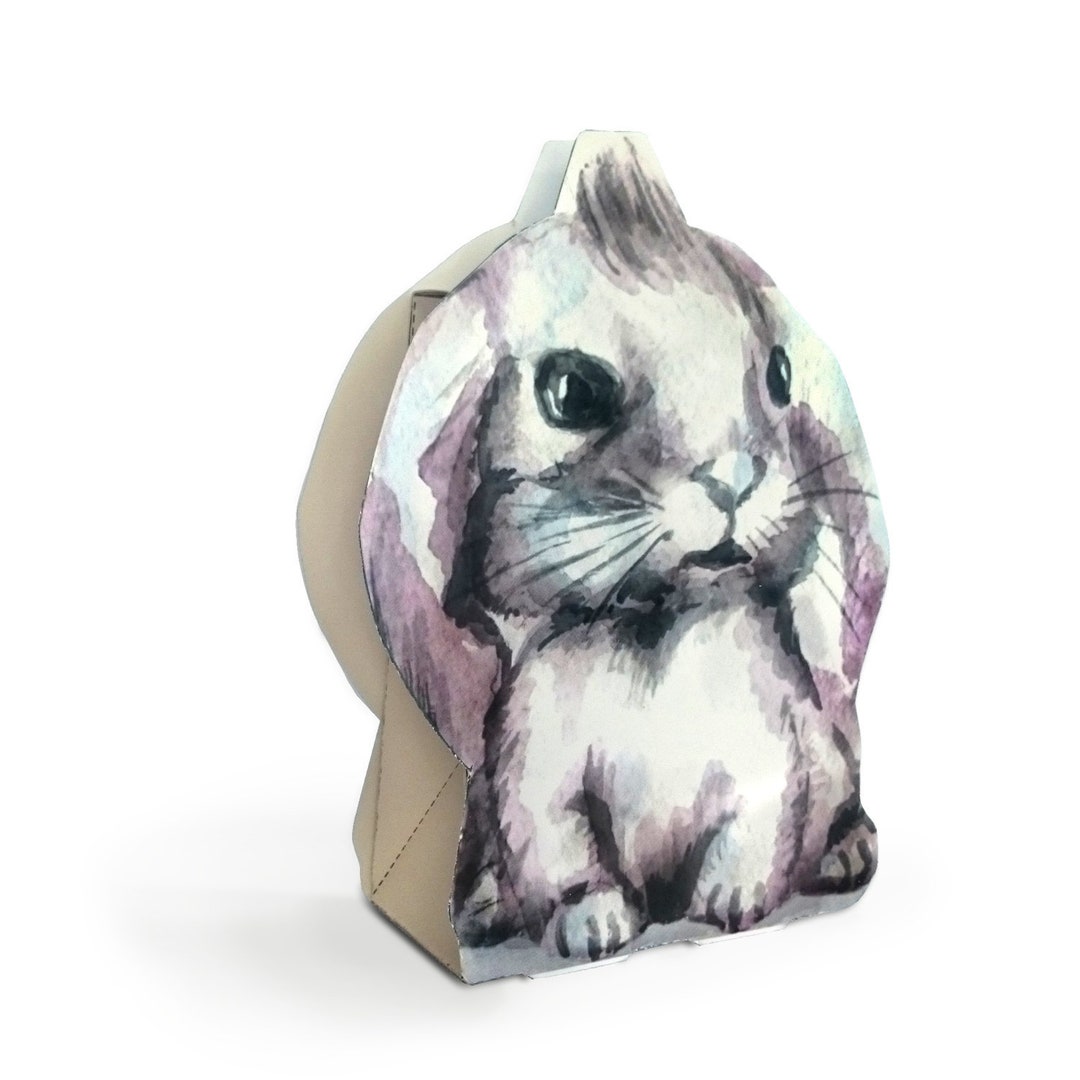 Digital Gift Box Baby Bunny DIY Printable Favor Box for Baby Shower ...