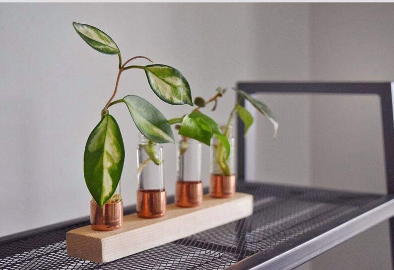 Copper Propagation Station Vessel Flower Vase - Etsy