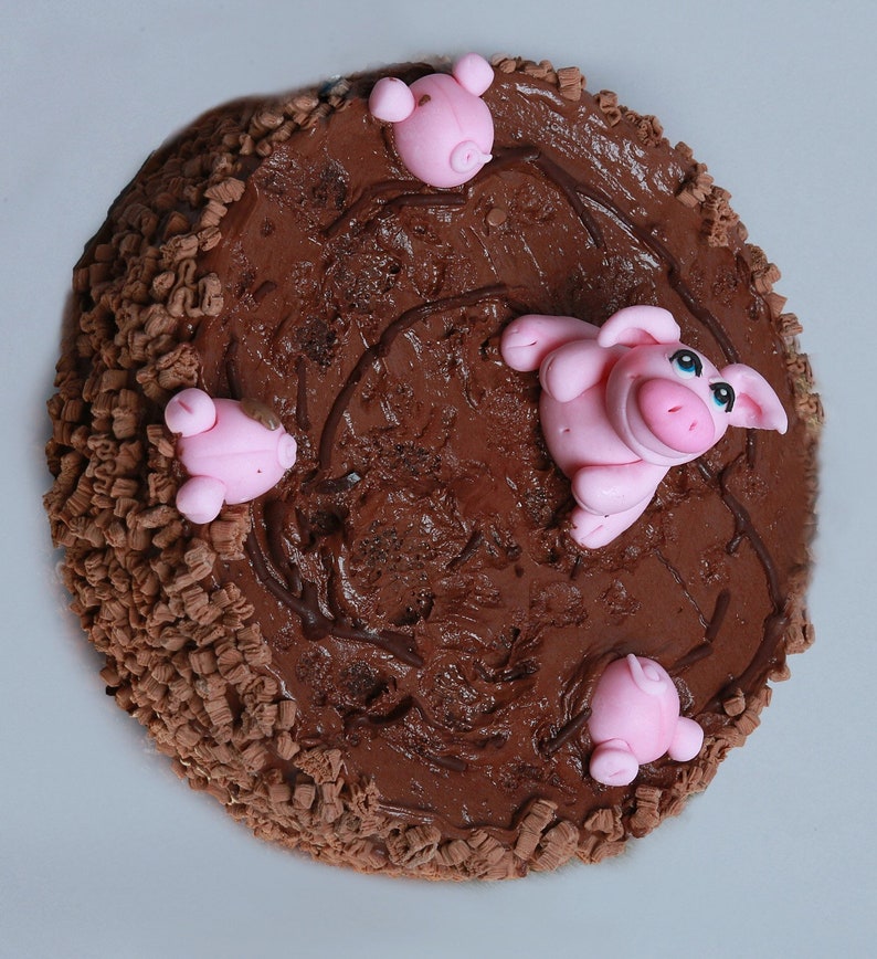 Edible Floating Pigs in Mud Cake Decorations Set of Four - Etsy