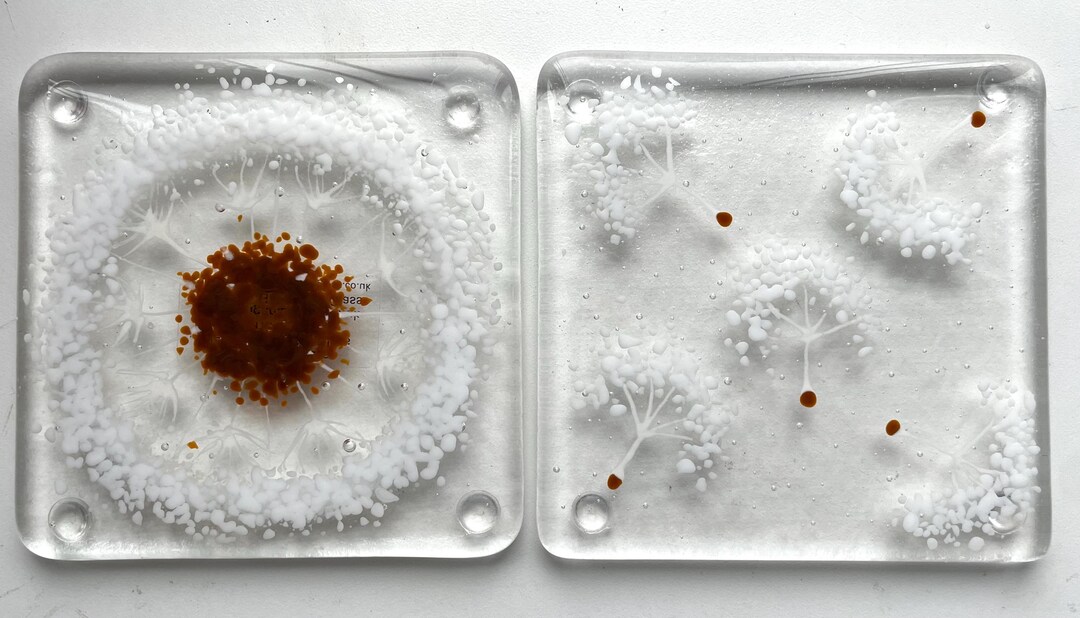 Dandelion Wishes Coasters/fused Glass Coasters/drinks Mats/handmade ...