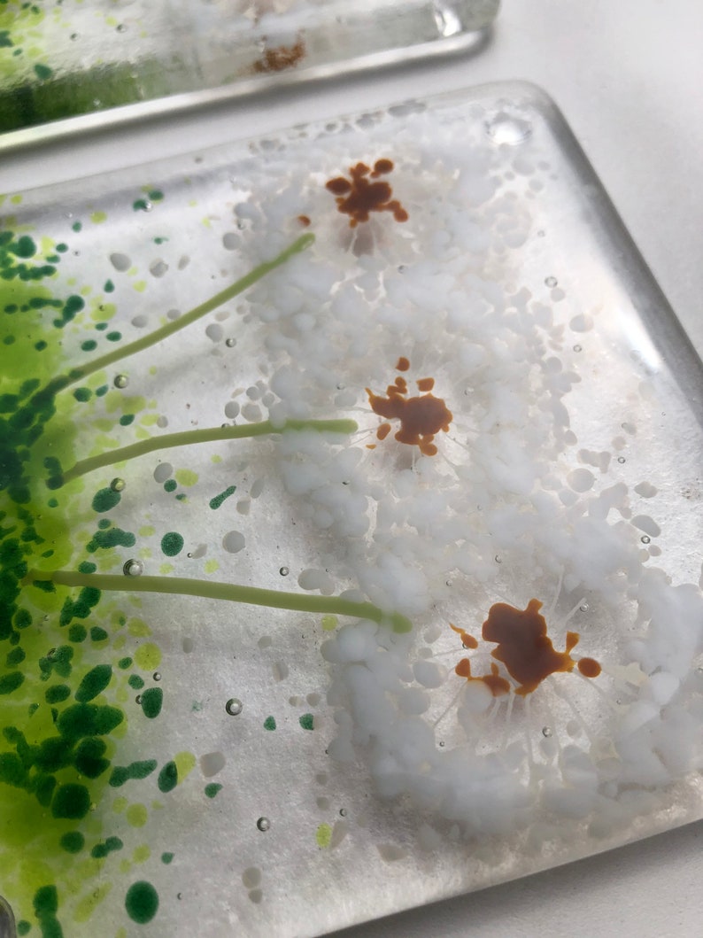 Dandelion clock Coasters/ Wildflower Coasters/fused glass | Etsy