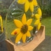 Sunflowers Fused Glass Ornament Displayed in a Beautiful Oak Stand ...