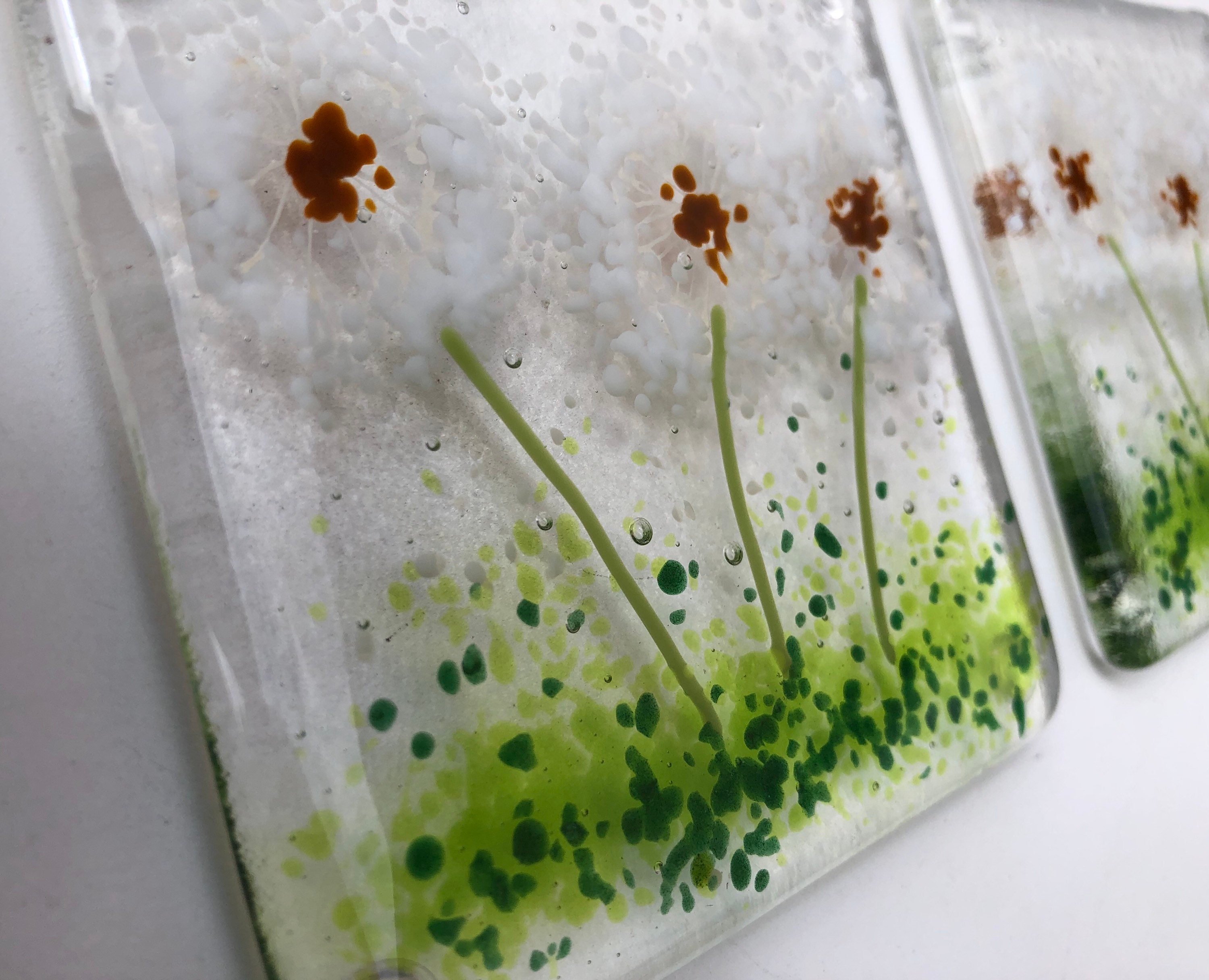Dandelion clock Coasters/ Wildflower Coasters/fused glass | Etsy