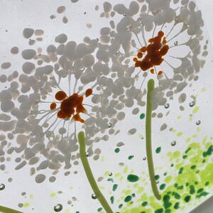 Dandelion Clock Coasters/ Wildflower Coasters/fused Glass Dandelion ...