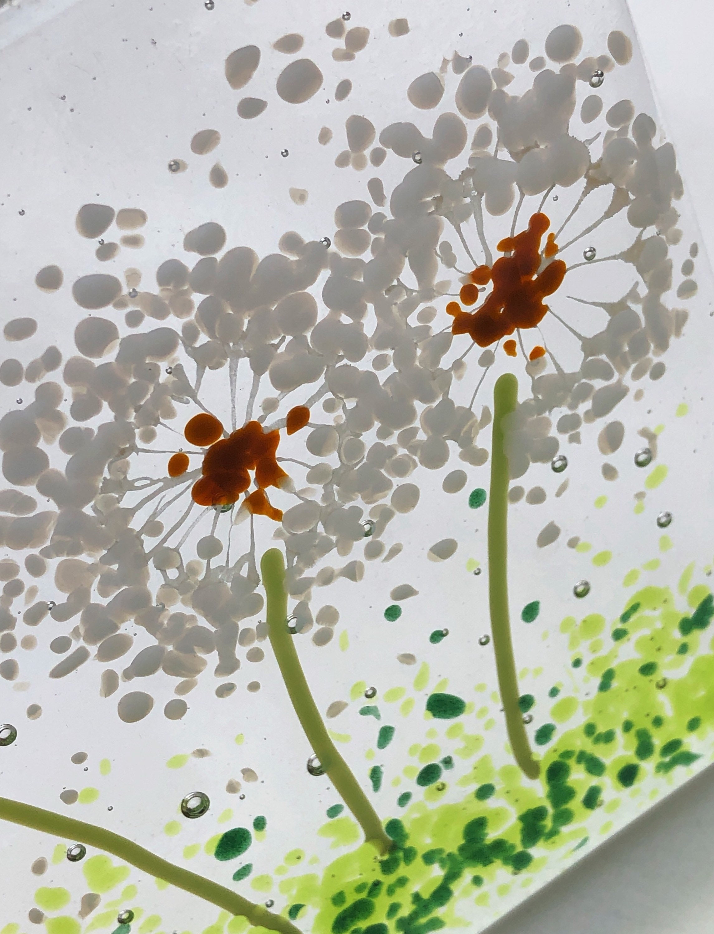 Dandelion clock Coasters/ Wildflower Coasters/fused glass | Etsy