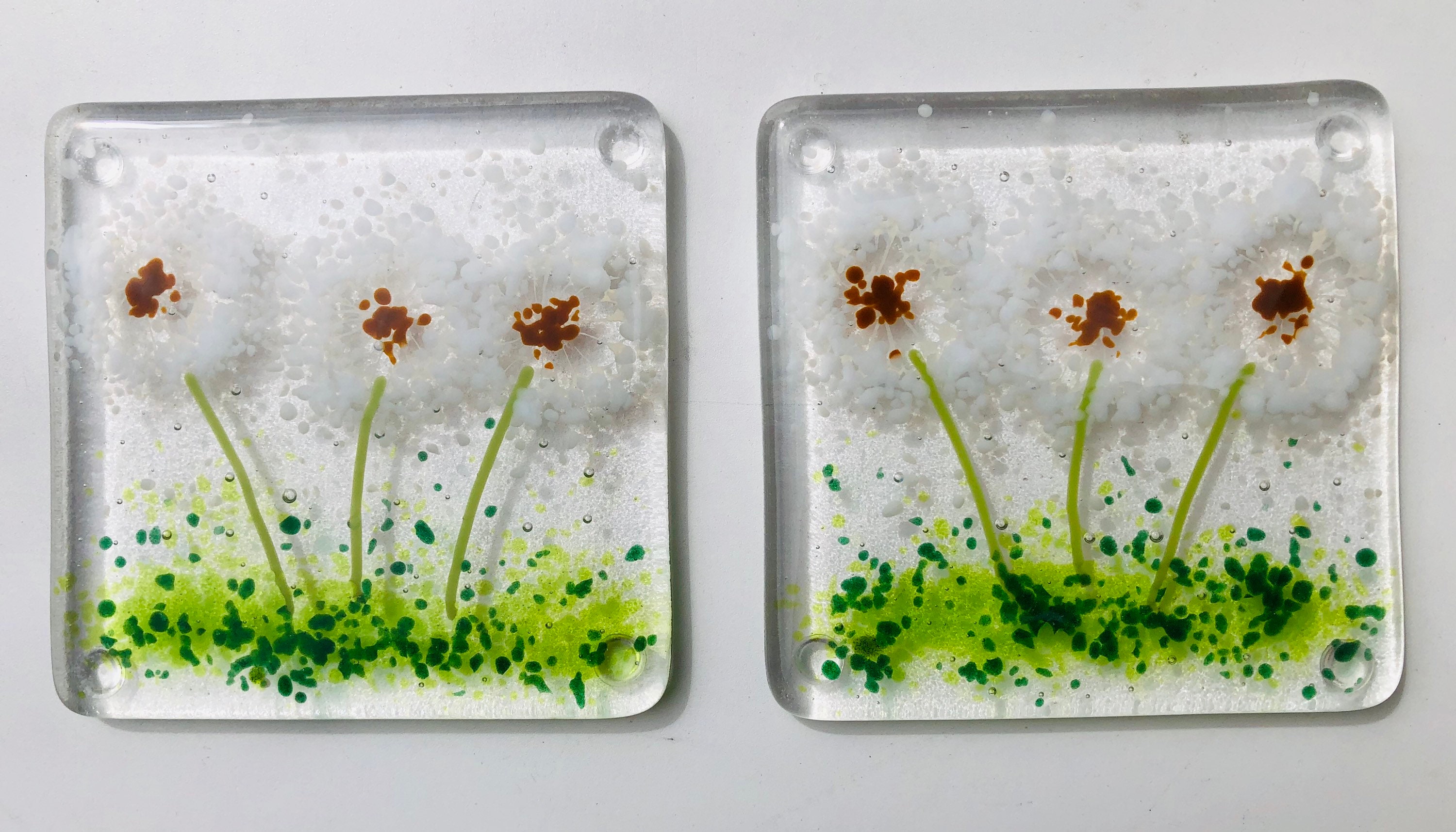 Dandelion Clock Coasters/ Wildflower Coasters/fused Glass - Etsy UK