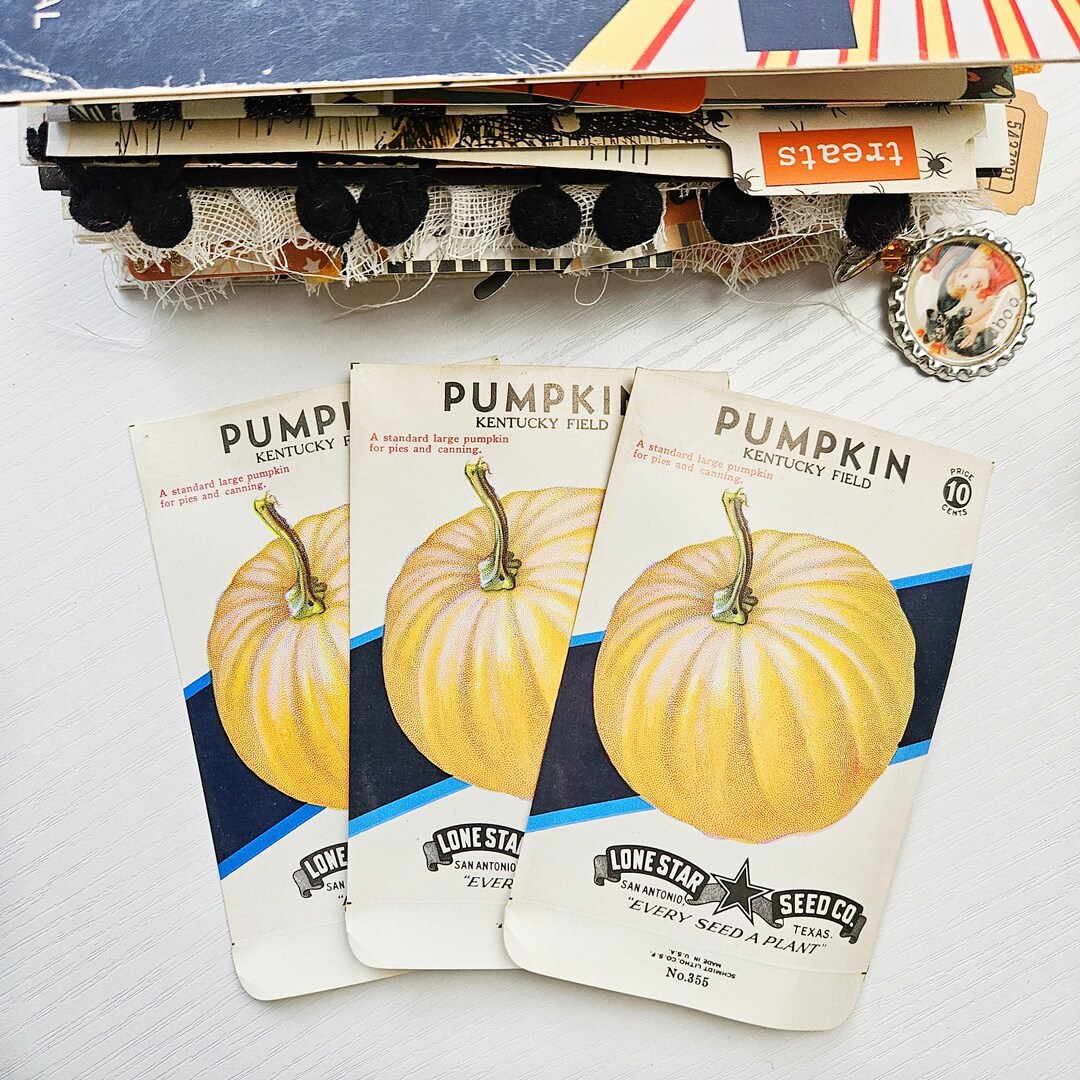 Vintage Pumpkin Seed Packets - Set of 3 - New Old Stock - Fall or ...