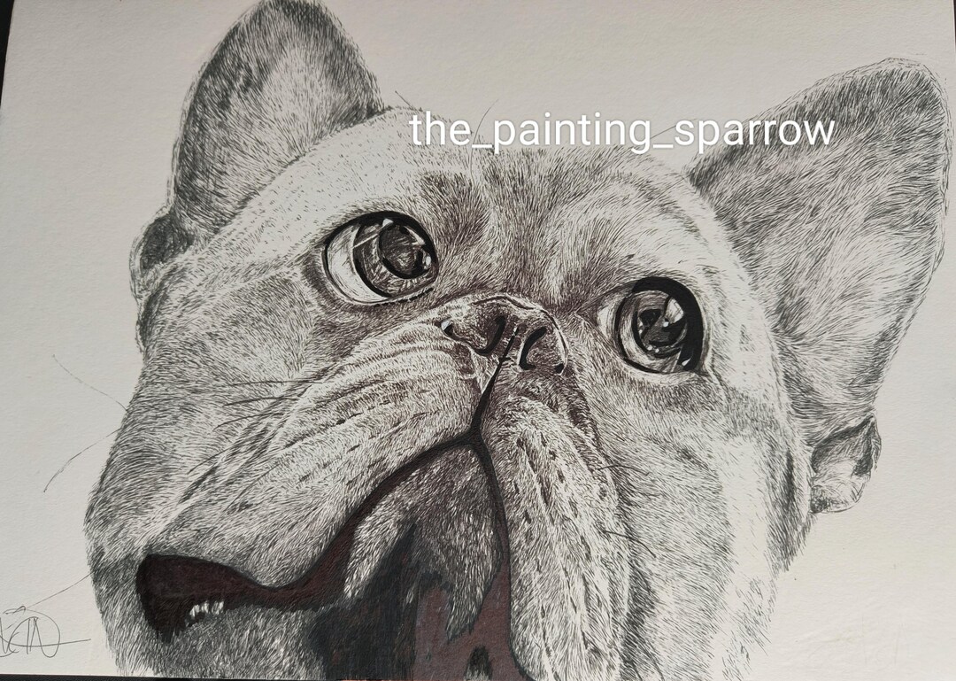 Pet Portrait (1 Animal), Based on Photo. Original Artwork, Including ...