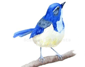 Navy Blue Bird - Etsy