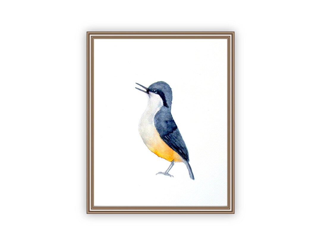Nuthatch Watercolor Print, 4x6, 5x7, 8x10, 11x14 Bird Illustration ...