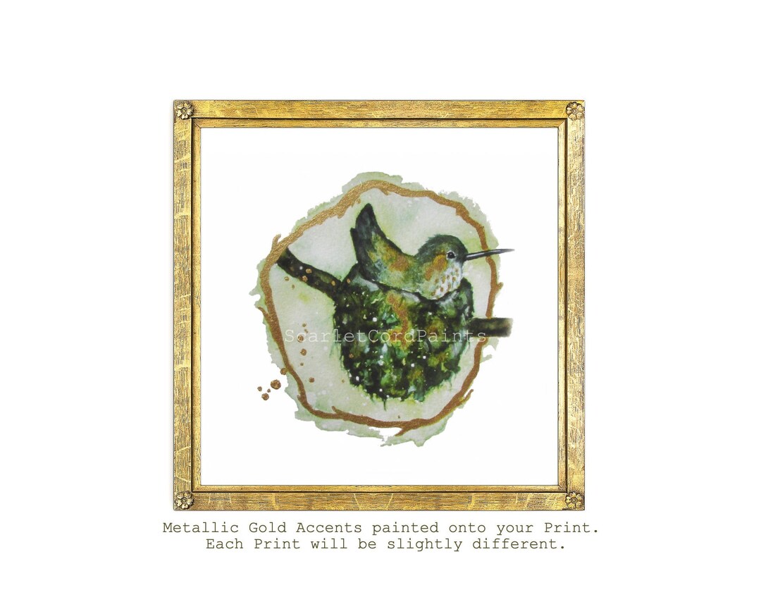 Hummingbird in Nest With Gold Accents Square Painting, Watercolor Hand ...