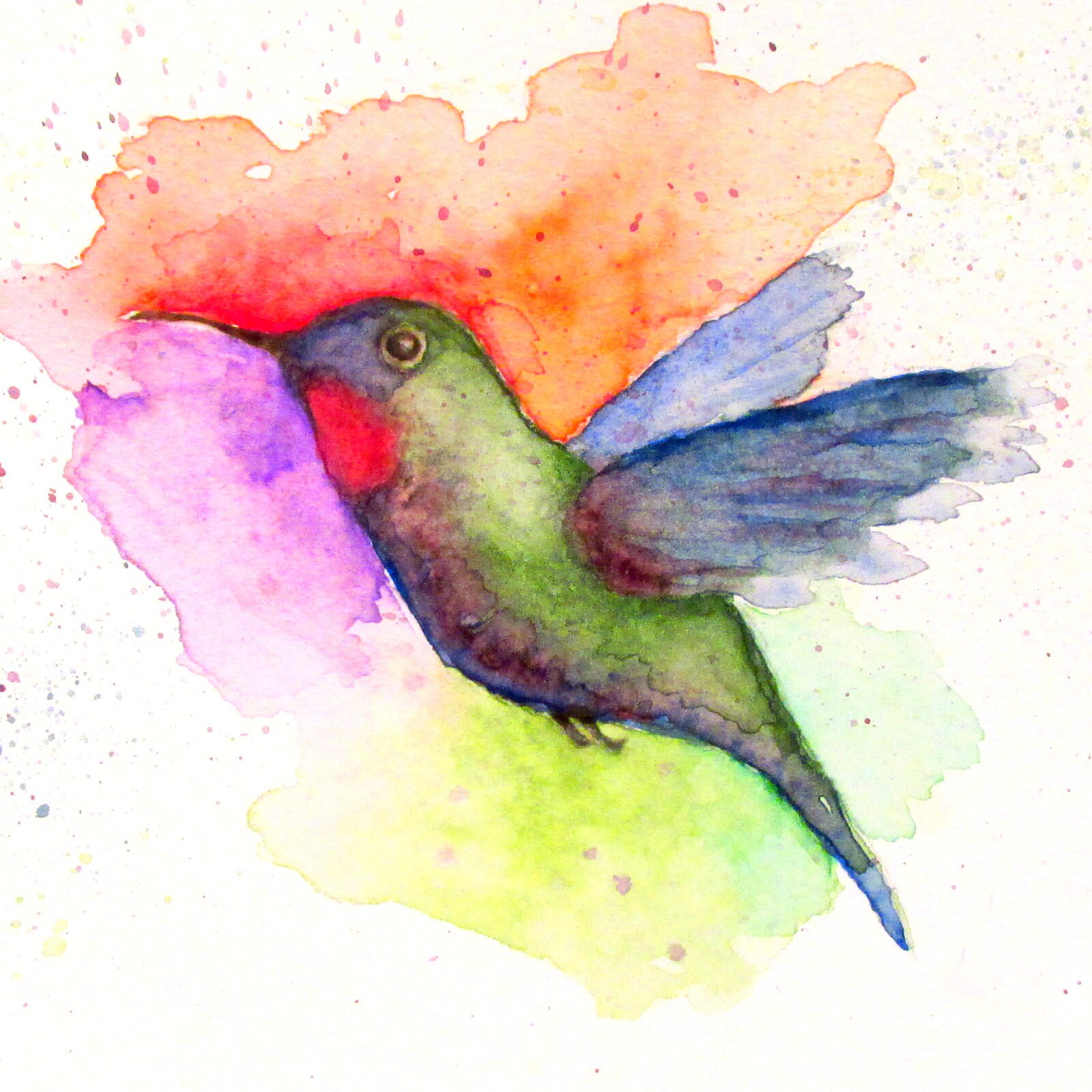 Watercolor Set of 4 Hummingbird Prints Square Format Art Wall | Etsy