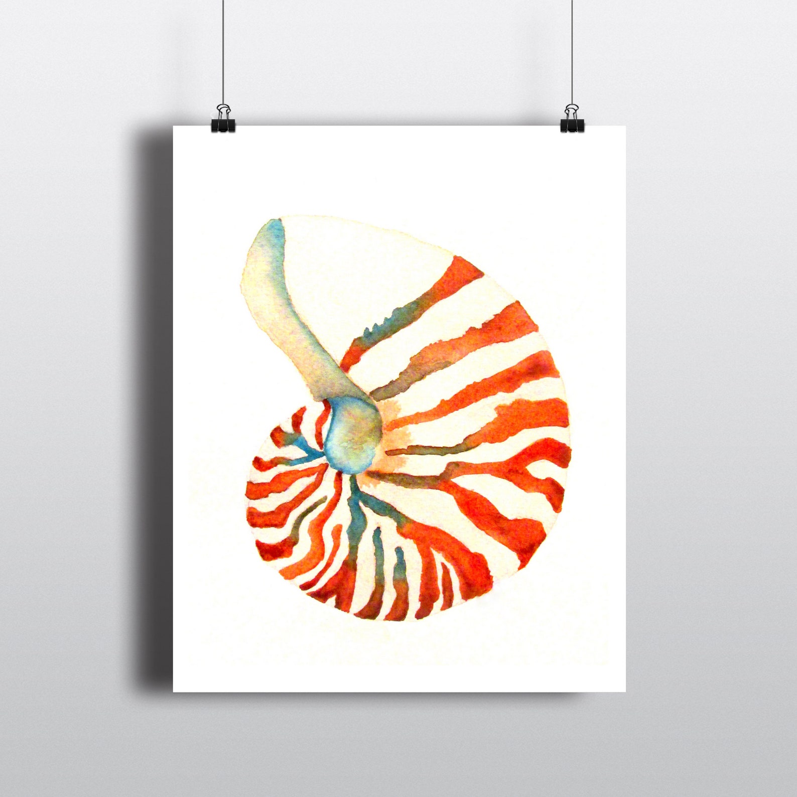 Nautilus Watercolor Painting Beach Sea Shell Print 4x6 5x7 | Etsy