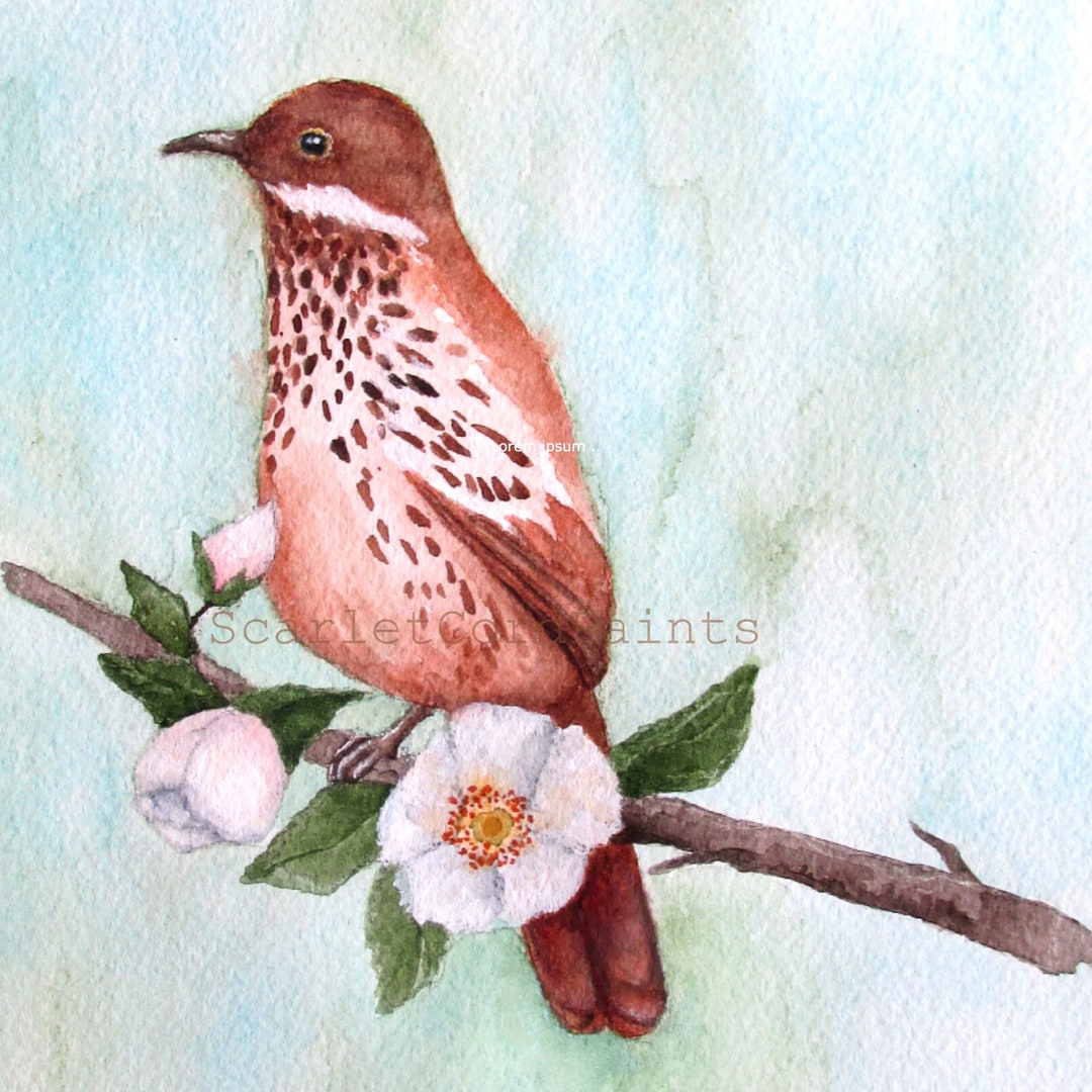 Watercolor Georgia State Bird Print, State Flower Watercolor, 10x10 ...