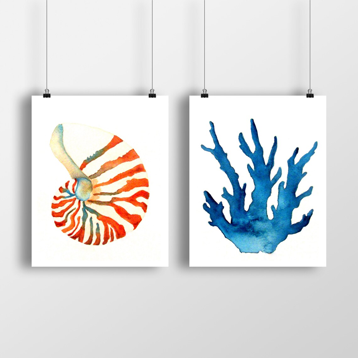 Nautilus Watercolor Painting Beach Sea Shell Print 4x6 5x7 - Etsy