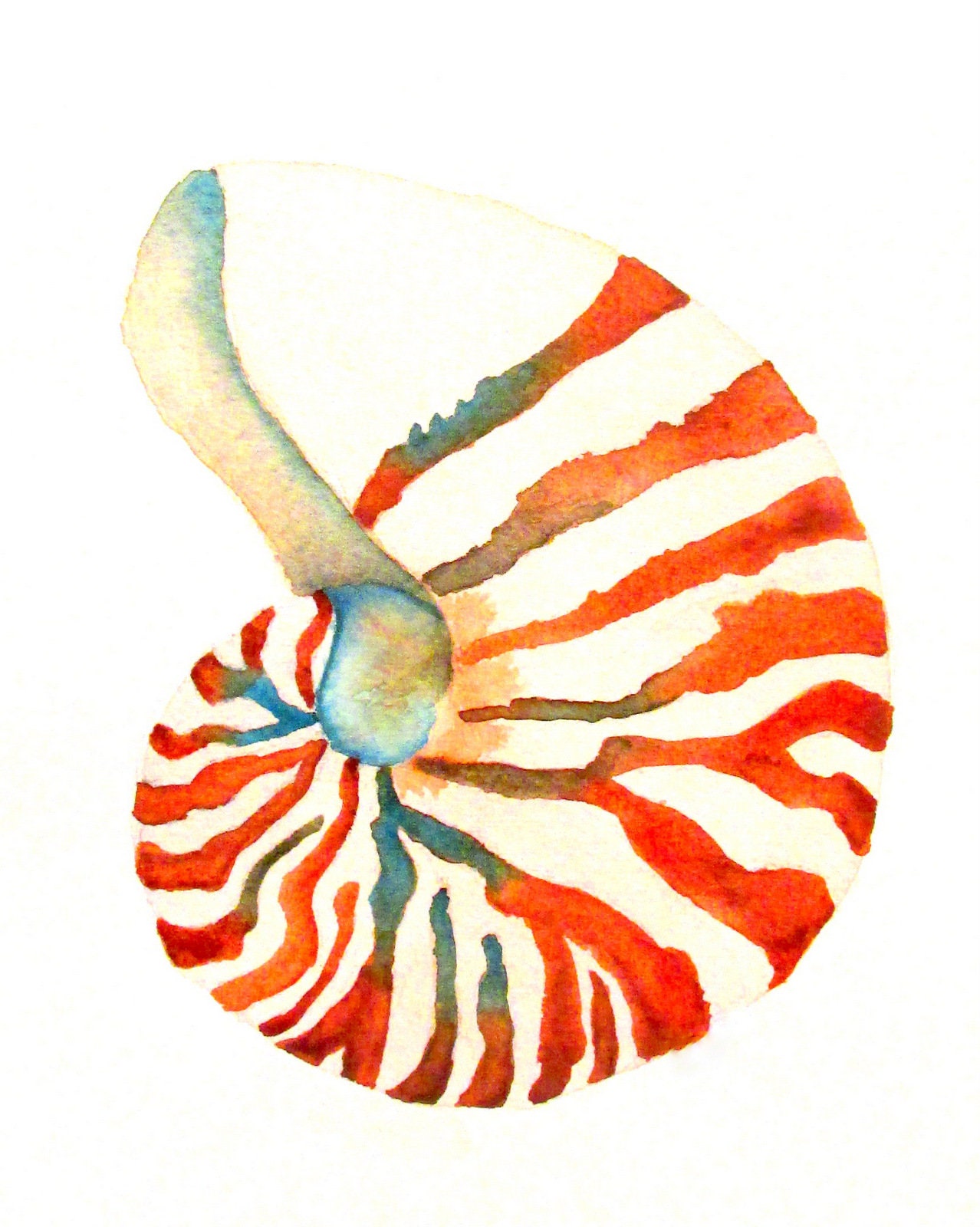 Nautilus Watercolor Painting Beach Sea Shell Print 4x6 5x7 - Etsy