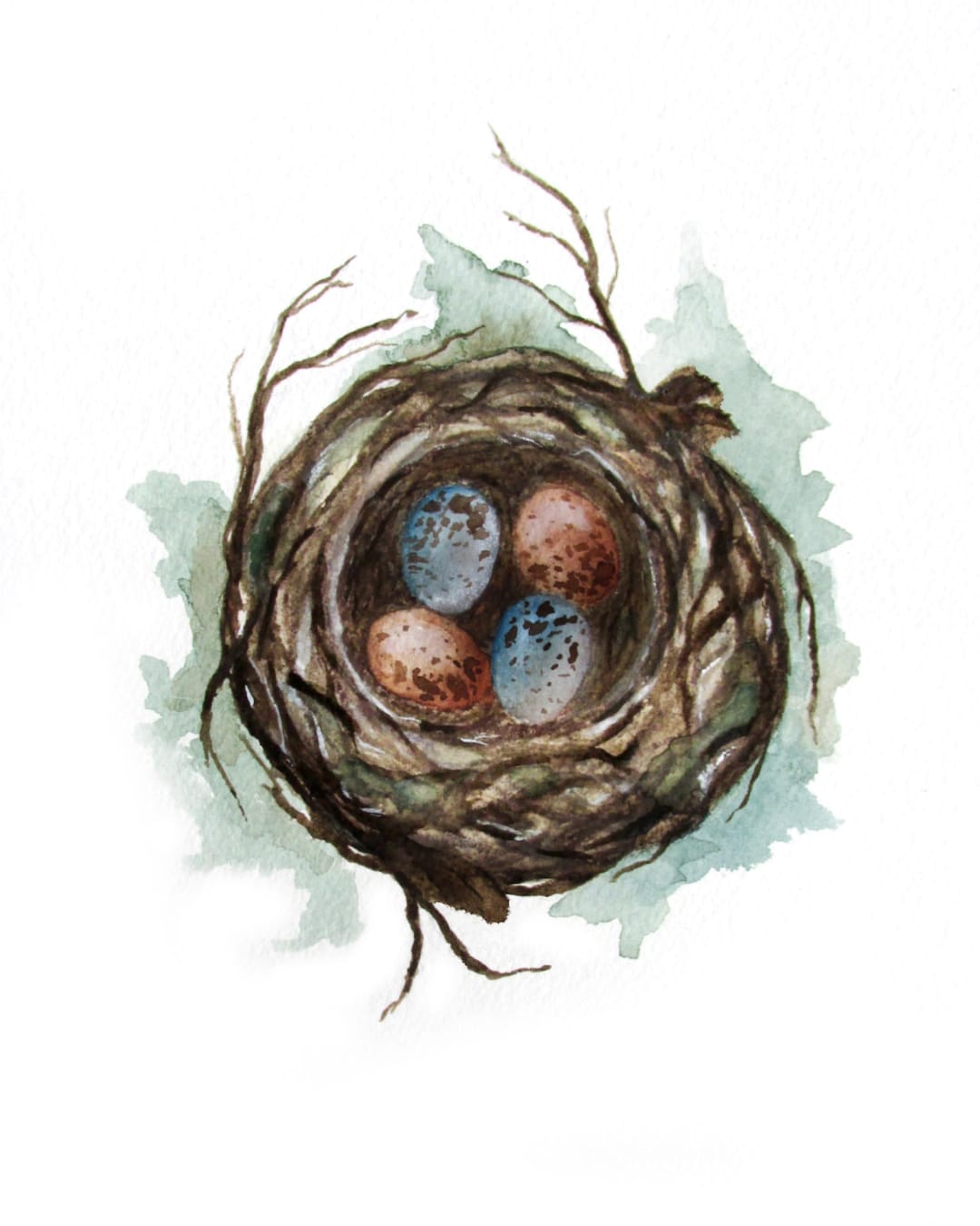 Watercolor Bird Nest With Four Speckled Eggs Print, Art Wall Decor, 4x6 ...