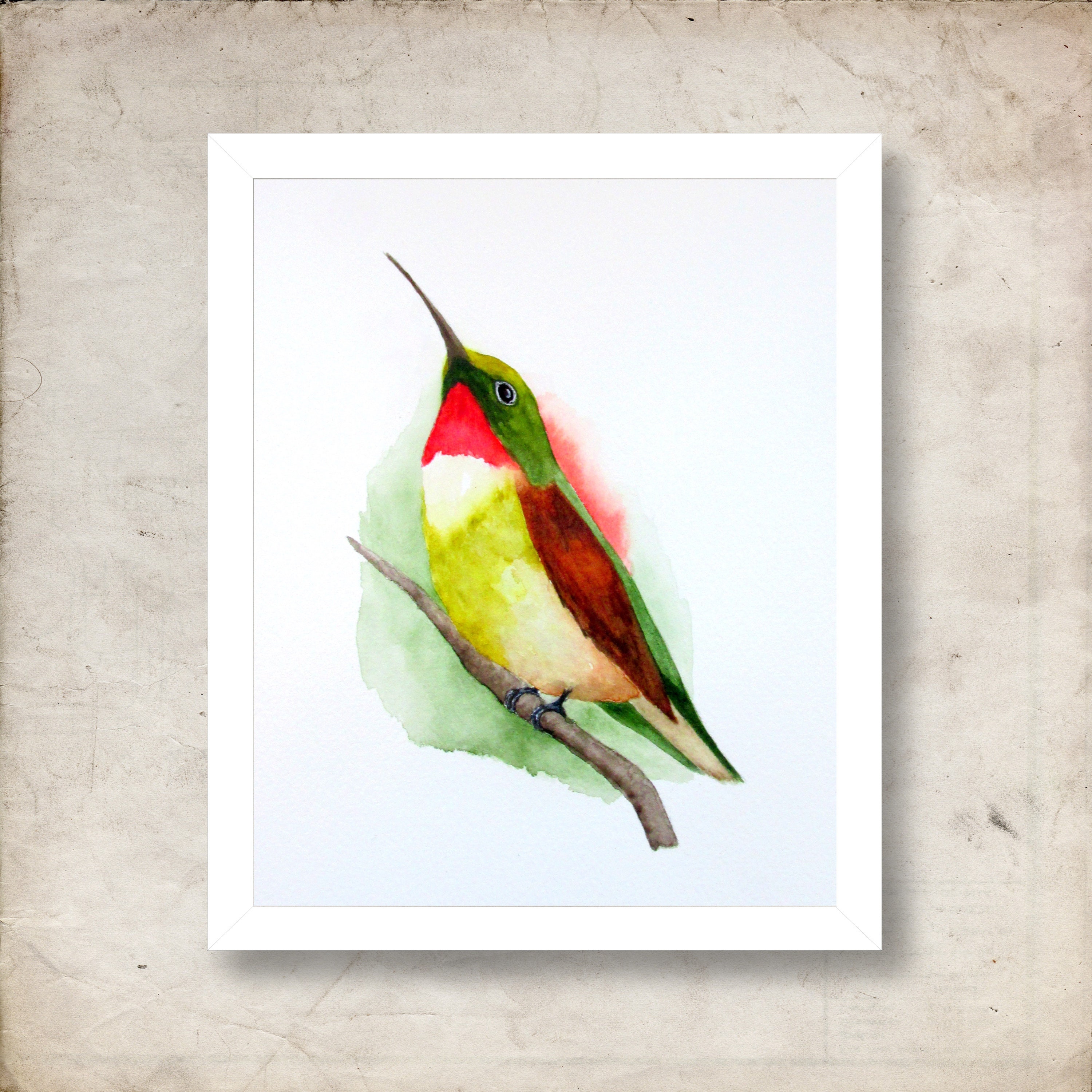 Watercolor Hummingbird Print 4x6 5x7 8x10 11x14 Bird - Etsy