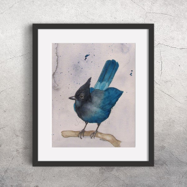 Blue Jay Print - Etsy
